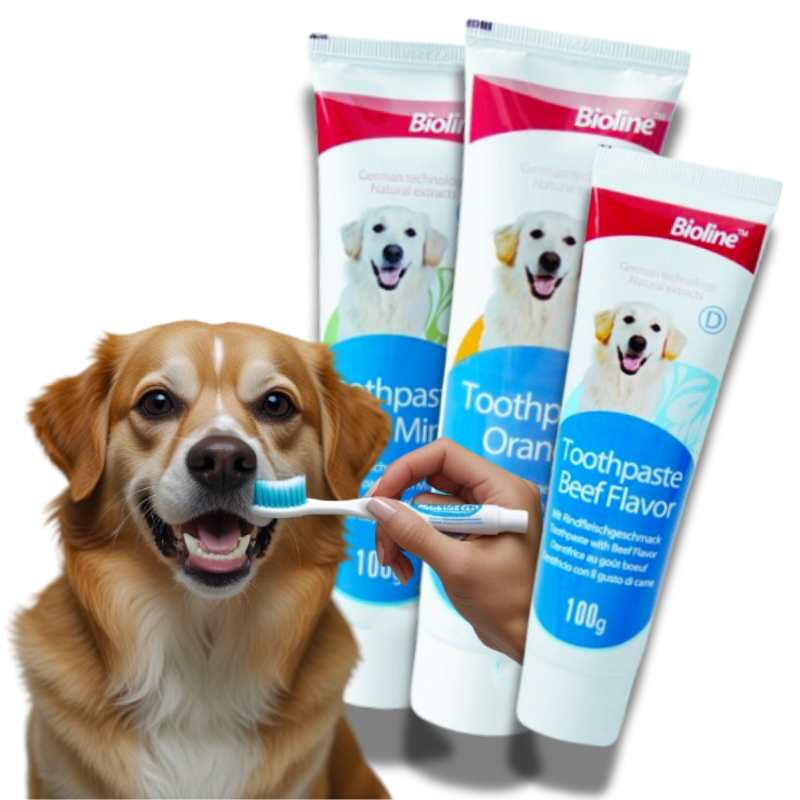 Natural Dog Toothpaste | Natural Oral Care for Fresh Breath – Happy Pets