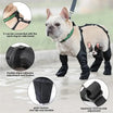 Waterproof Adjustable Dog Boots | Soft & Breathable Shoes – Happy Pets